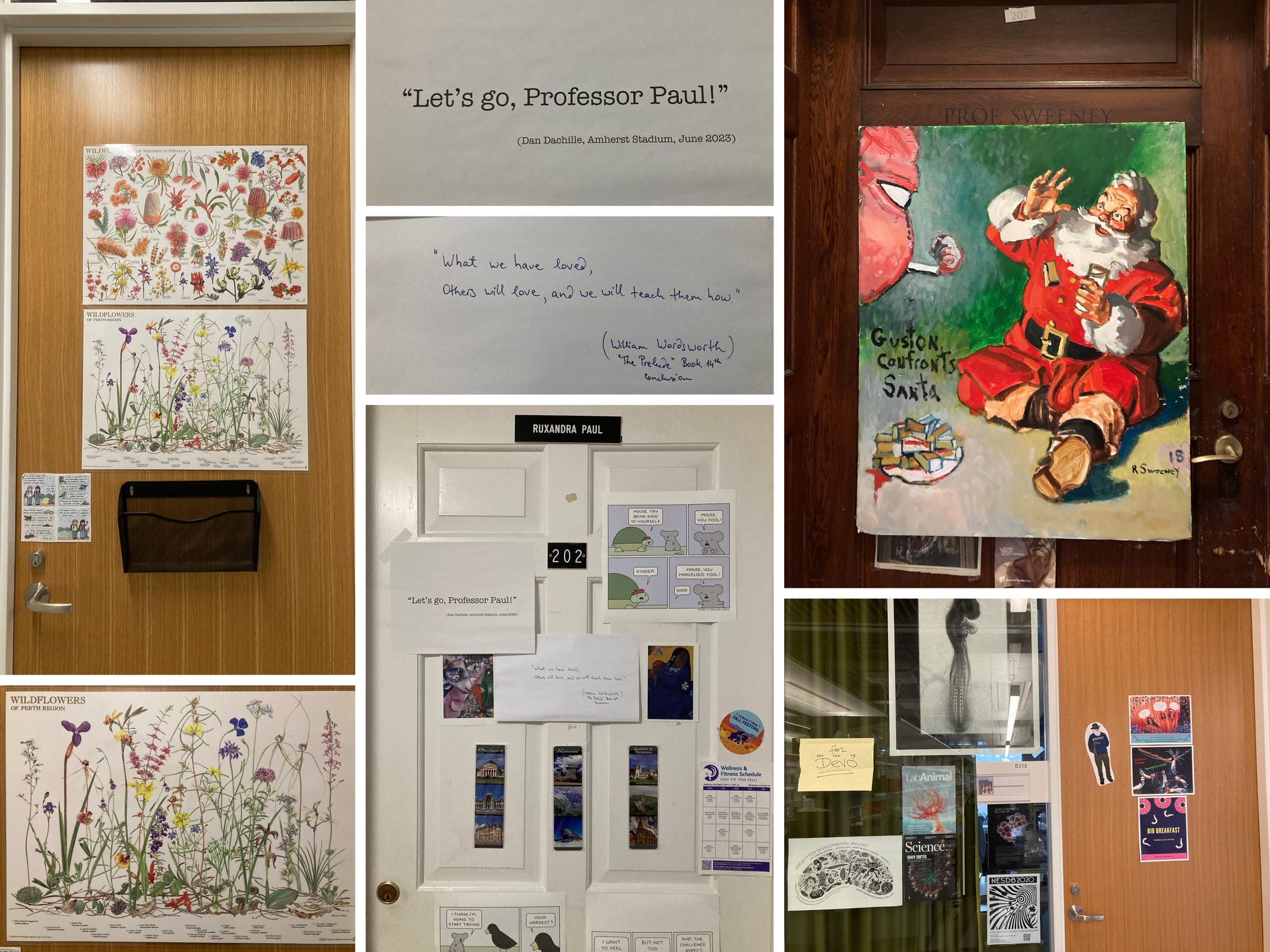 Amherst Professors Share Stories Behind Their Office Doors